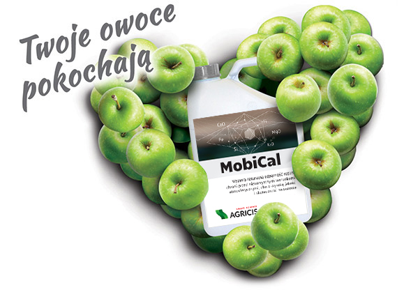 AGRICIS _ STRONA W SIECI » MOBICAL